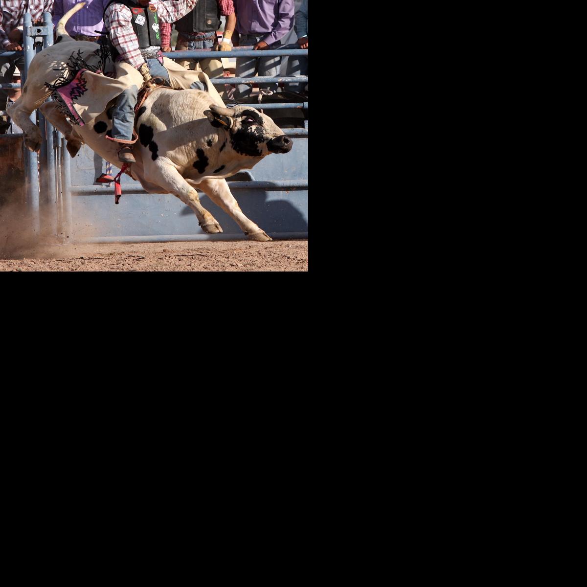 Benson Butterfield Rodeo offers action-packed weekend | Benson News-Sun ...