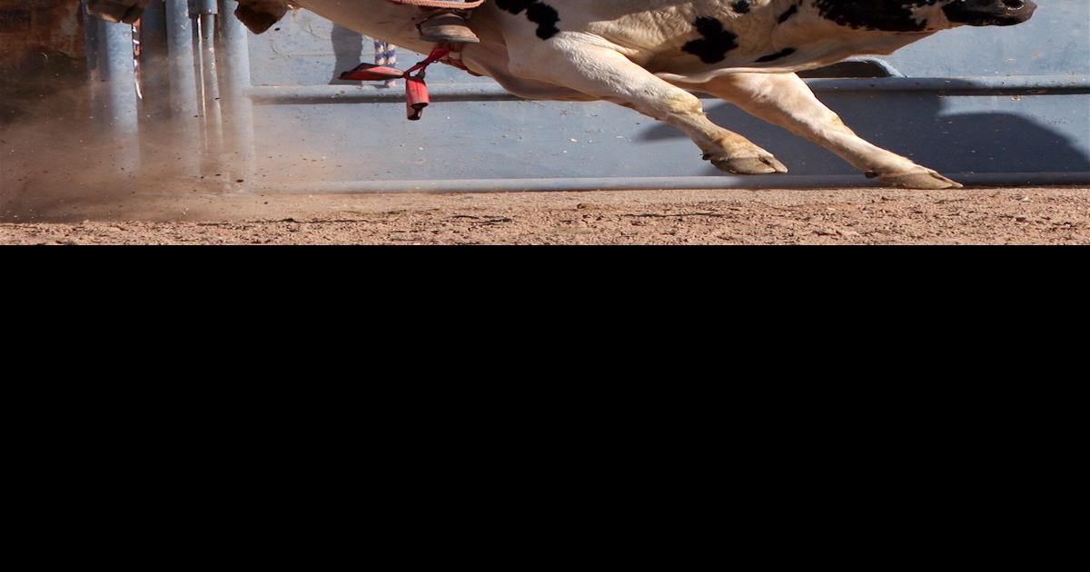 Benson Butterfield Rodeo offers action-packed weekend | Benson News-Sun ...