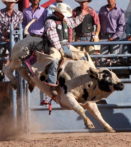 Benson Butterfield Rodeo offers action-packed weekend | Benson News-Sun ...