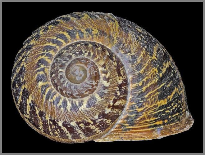 Bisbee Photographer Dennis Galloway Creates Photographic Magic ...