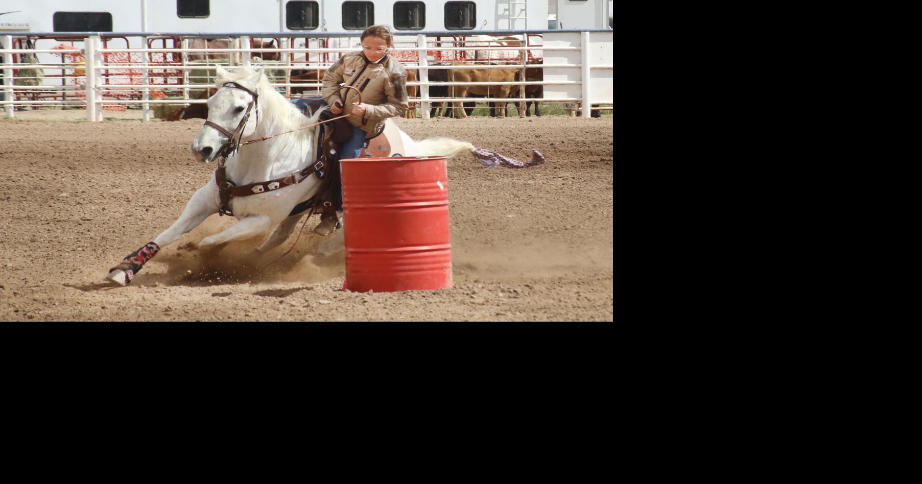 Willcox Junior Rodeo Association April Rodeo Results | Willcox Range ...