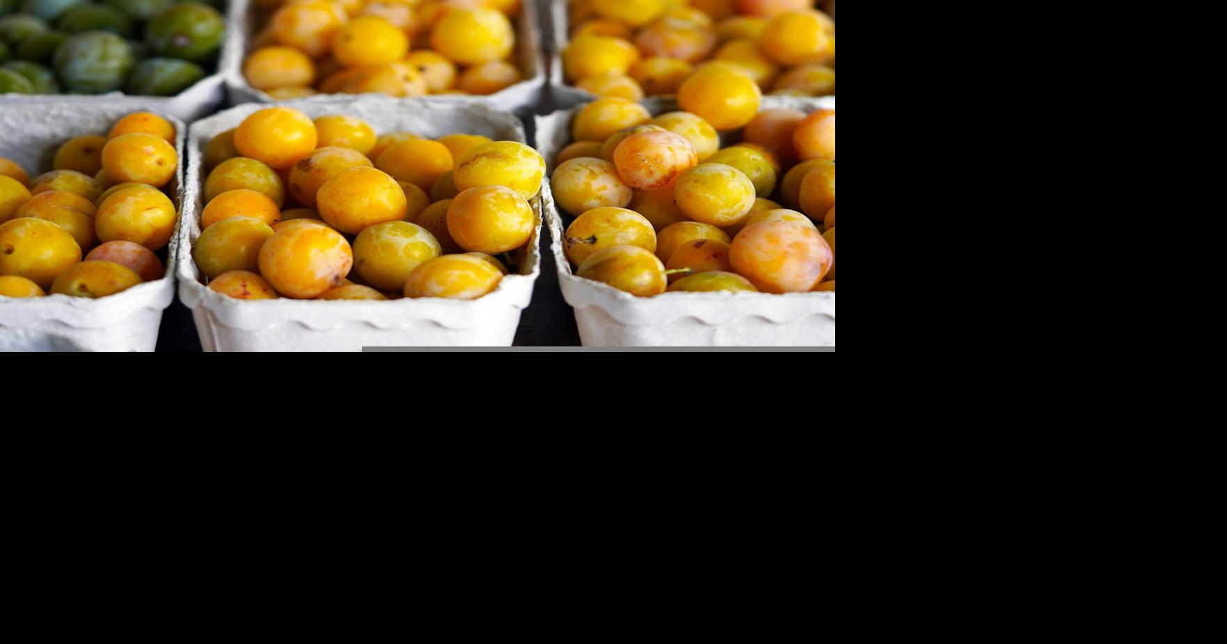 Growing plum fruit trees in Arizona? | Local News Stories ...