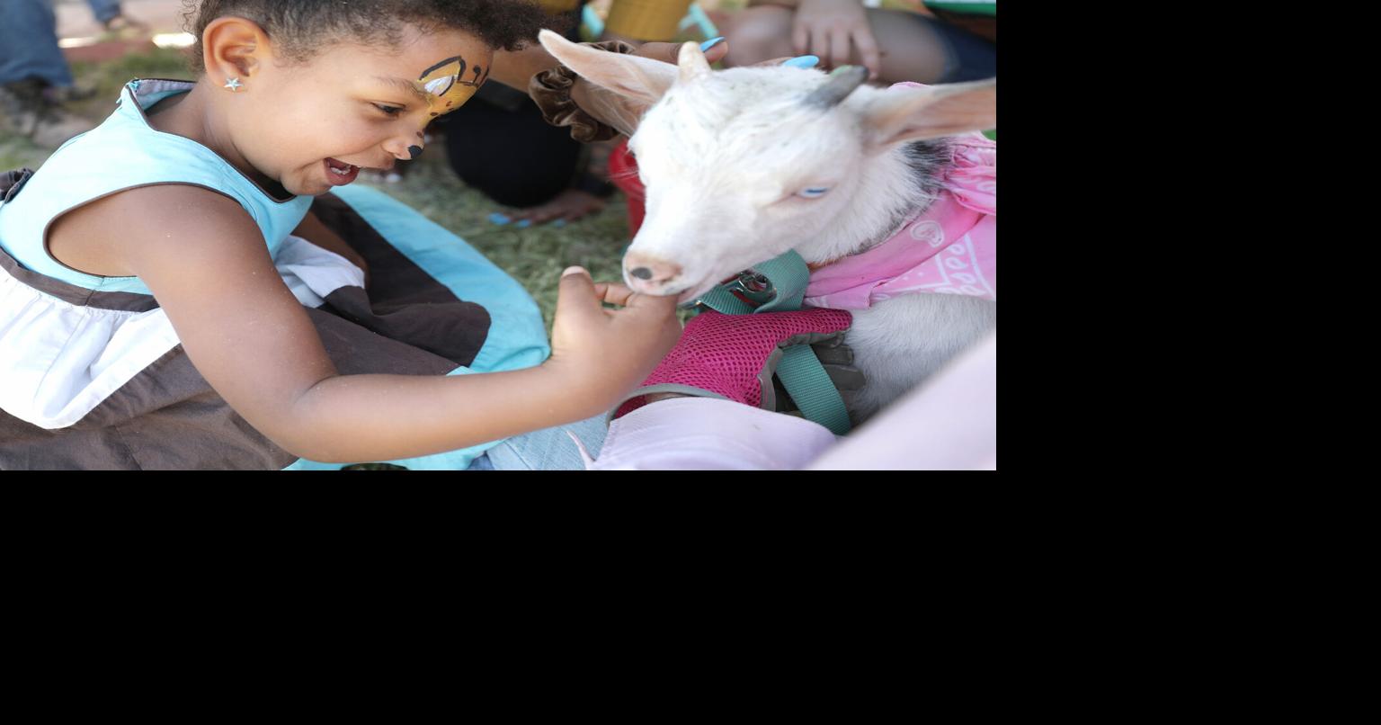 Annual Copper Queen Library ice cream social fun for all ages | Bisbee ...