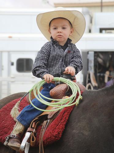 Willcox Junior Rodeo Association April Rodeo Results | Willcox Range ...