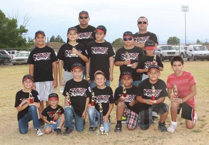 DLL wraps up season | Local Sports | myheraldreview.com