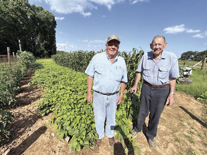Max Ham of Smarr marks 92nd birthday with bountiful crop | News | mymcr.net