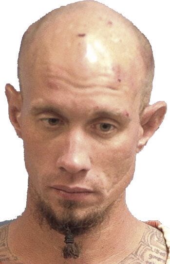 ‘Lucifer’ caught in Forsyth | News | mymcr.net