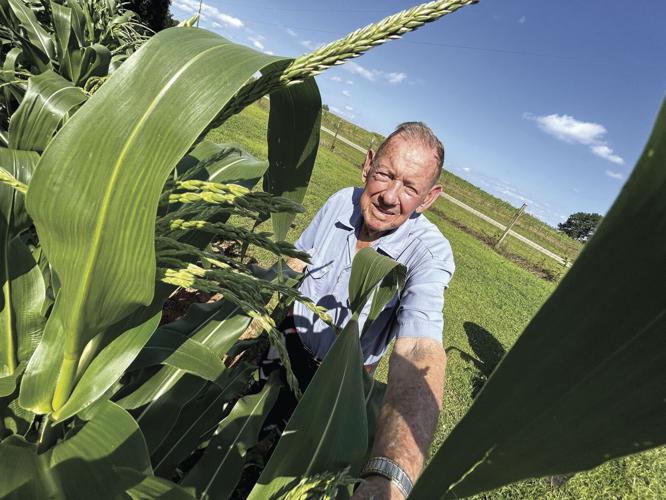 Max Ham of Smarr marks 92nd birthday with bountiful crop | News | mymcr.net