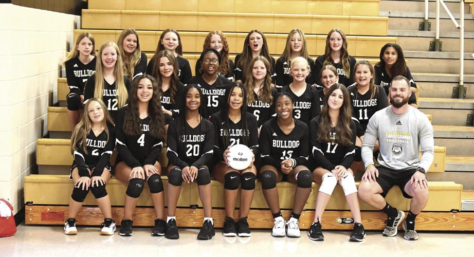 Rebuilding MP Volley Dogs add MCMS team | News | mymcr.net