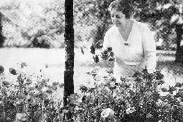 TRUE GRIS - Poppy Lady should be remembered | News | mymcr.net