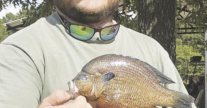 MONROE OUTDOORS - Ga. records another record-breaking fish in 2024 ...