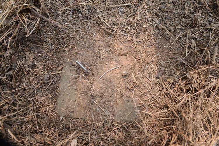 Mystery: Libby the Fox missing from Fox Hunt | News | mymcr.net