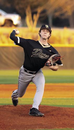 Dogs stun N. Paulding | News | mymcr.net