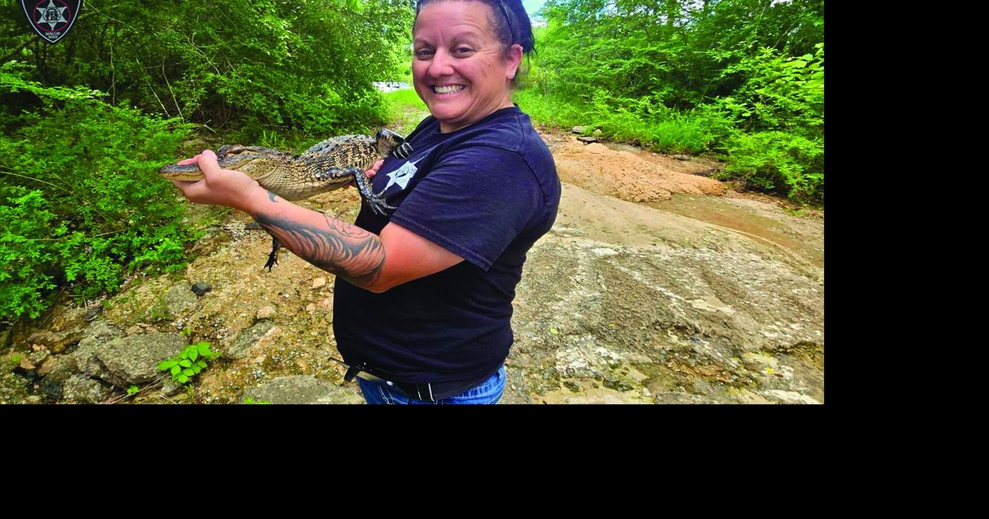 Bibb officer catches gator at Nu-Way | News | mymcr.net