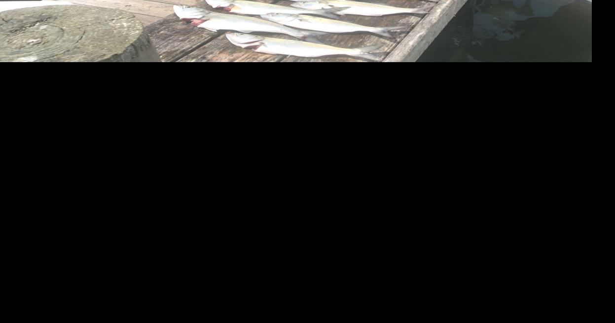 ON THE PORCH: Catching the big one | Opinion | mymcr.net