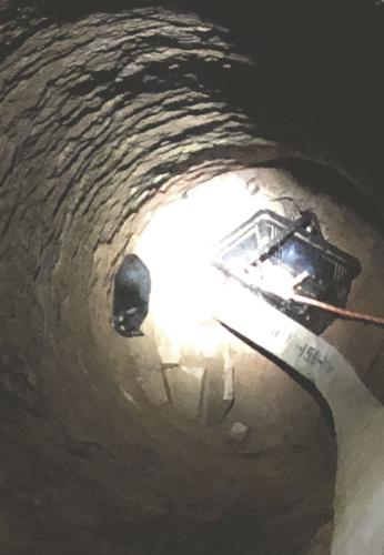 Cat rescued from fall in 40-foot well | News | mymcr.net