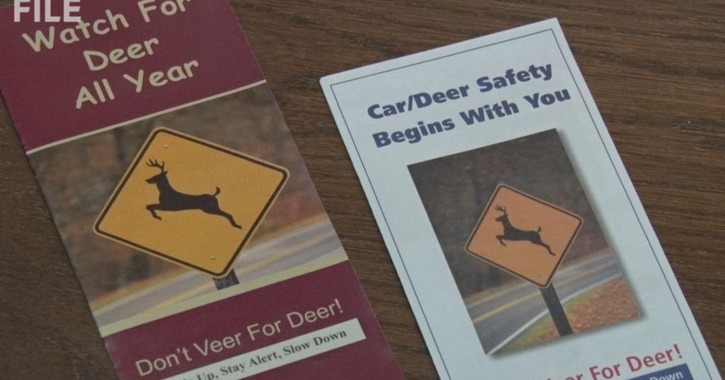 Deer safety tips in the winter months | Outdoors | myupnow.com