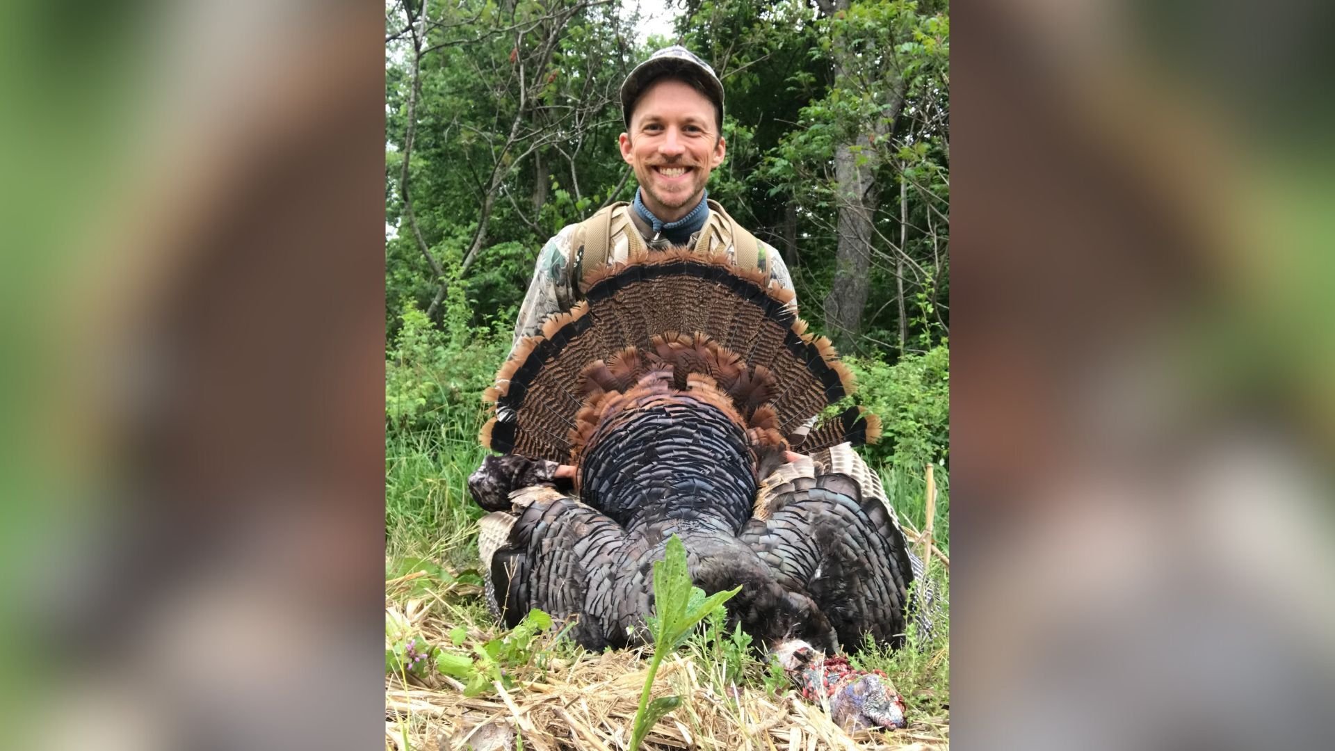 Applications now open for spring turkey season | Michigan News ...