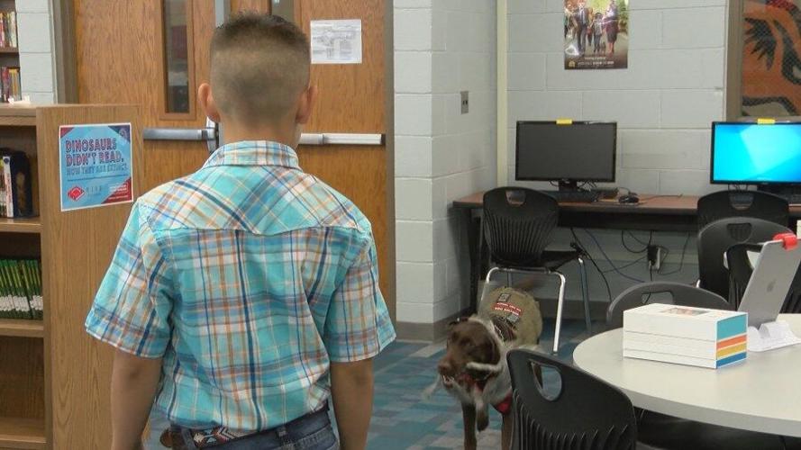 Service dog poses proudly for school picture, helps local elementary ...