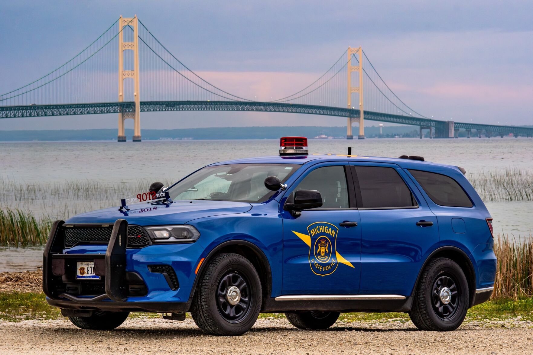 MSP leading the race for Best Looking Cruiser, closely followed by ...