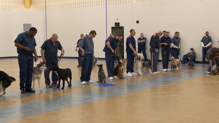 ‘If we weren’t here, they may not be here:’ prison program ...