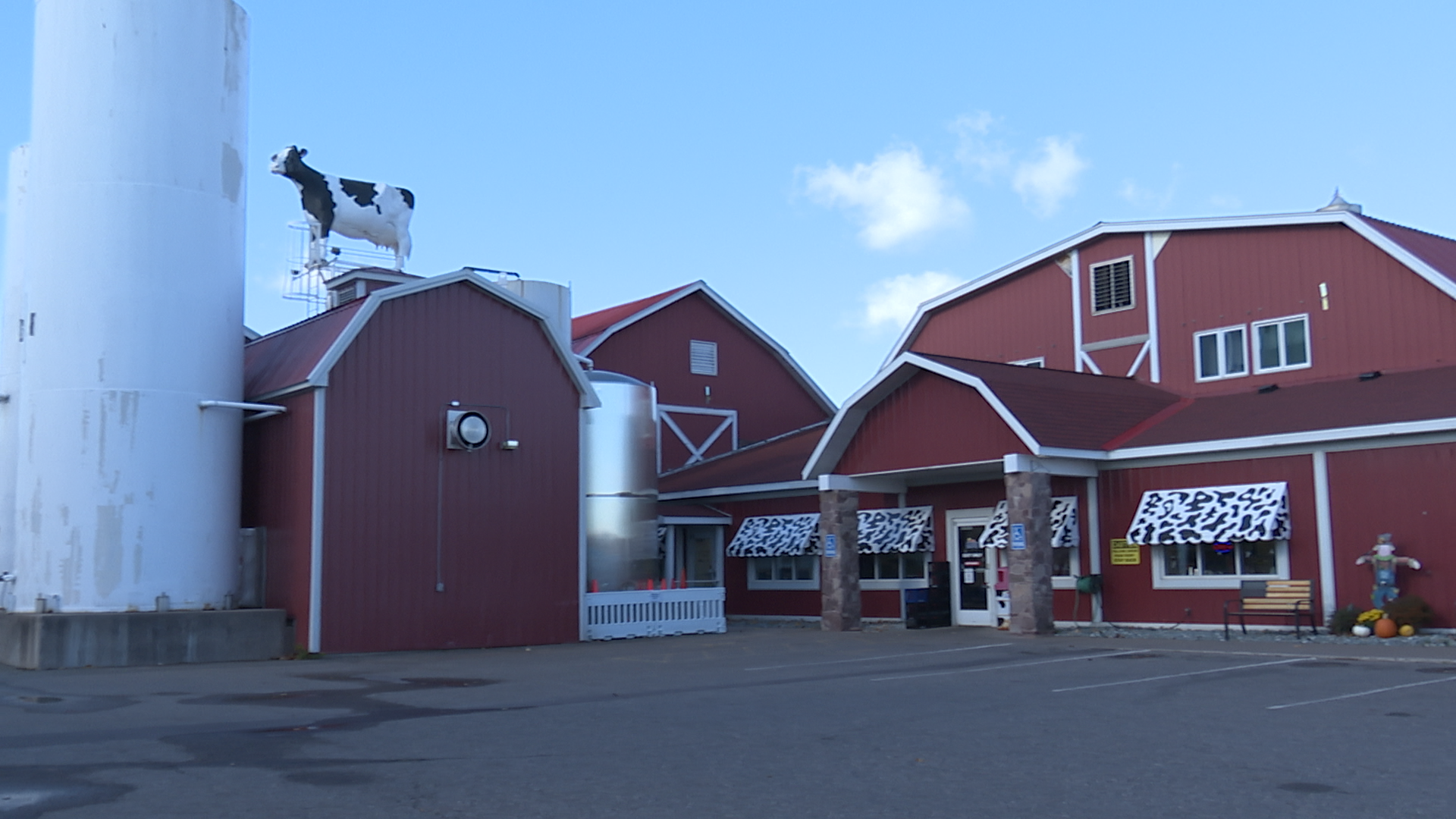 Anonymous donor partners with Jilbert Dairy for free milk distribution ...