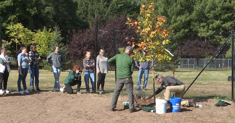 Negaunee opens new playground at Jackson Mine Park | Local News ...
