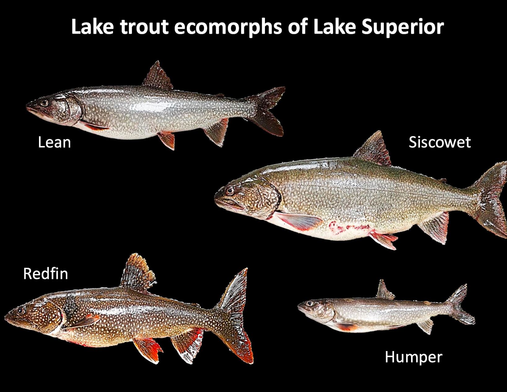 Meet 62-year-old Mary Catherine: the Great Lakes' oldest known lake ...