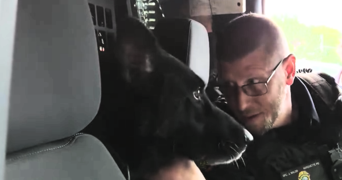 Watch the emotional 'final call' for Upper Peninsula K9 officer, Zepp ...