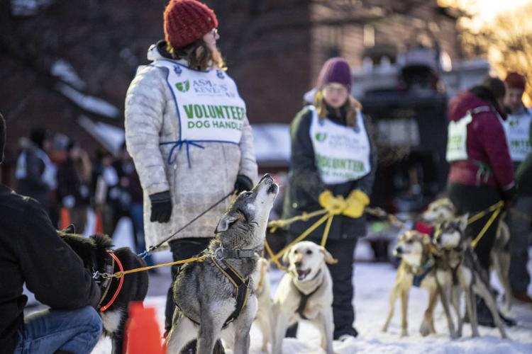 Snow outlook good for Keweenaw's upcoming CopperDog 150 | News ...