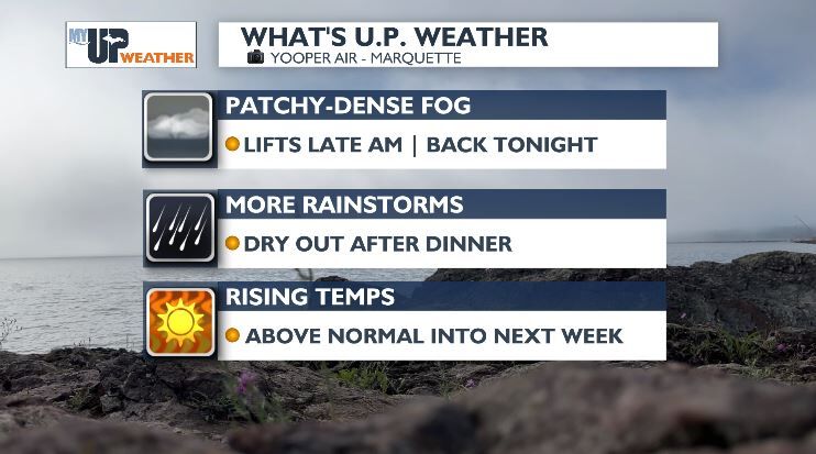 Foggy until lunch, soggy until dinner, temps on the rise | Weather ...