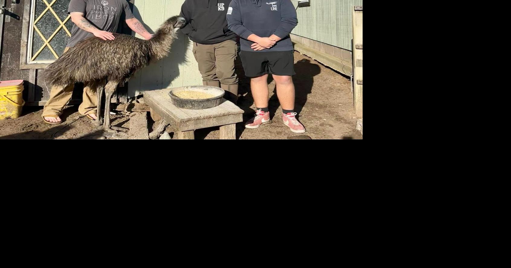 Community helping retired vet raise thousands to improve enclosure of ...