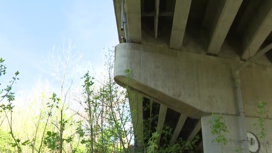 Goat rescued after being stuck on ledge under bridge in Missouri ...