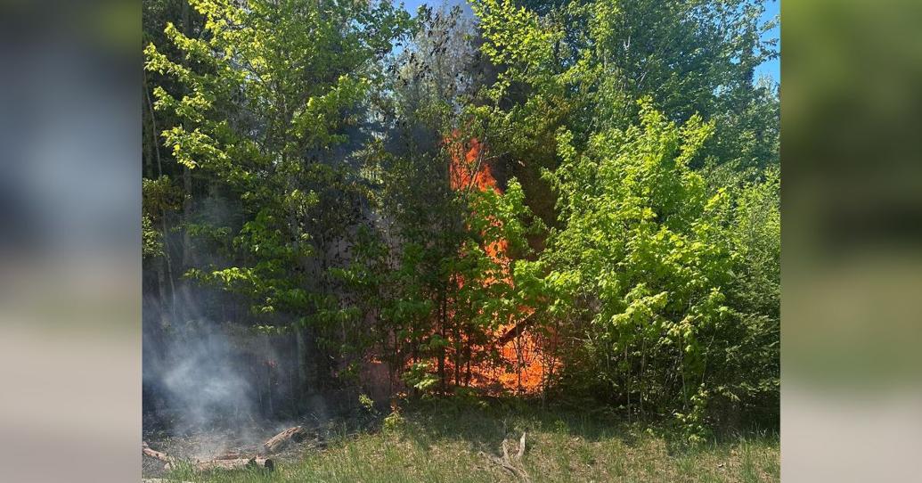 Wildfire burns in Hiawatha National Forest amid 'extreme' fire danger ...