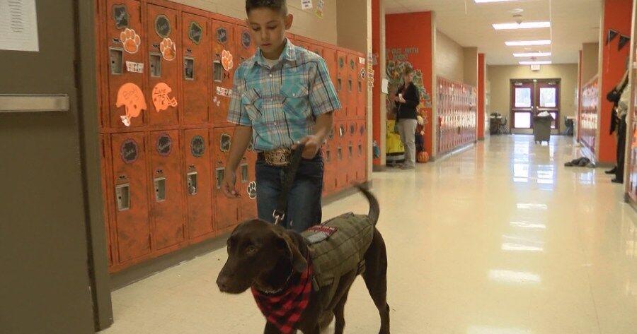 Service dog poses proudly for school picture, helps local elementary ...