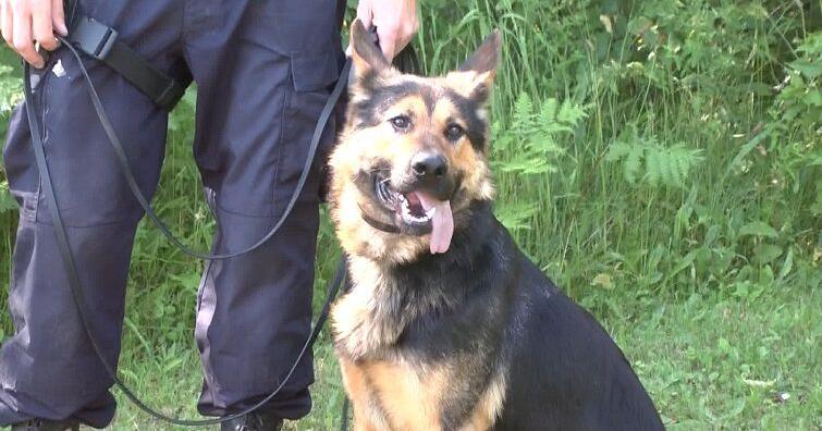 MSP Post welcomes new K9 unit | Local News | myupnow.com