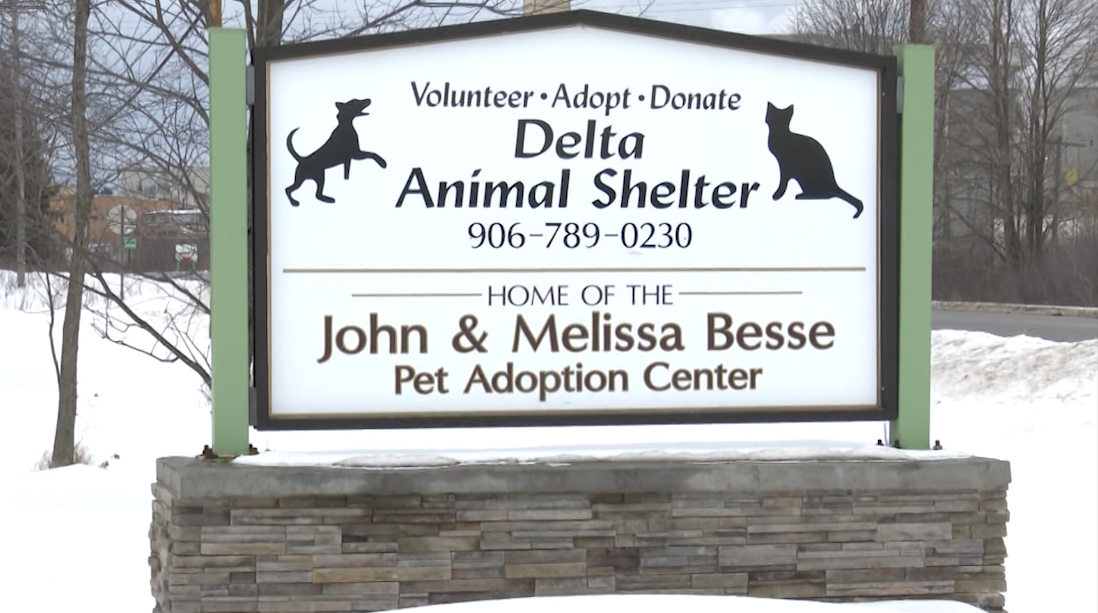 Delta Animal Shelter reaches month-long 1,000 lbs. pet food donation ...