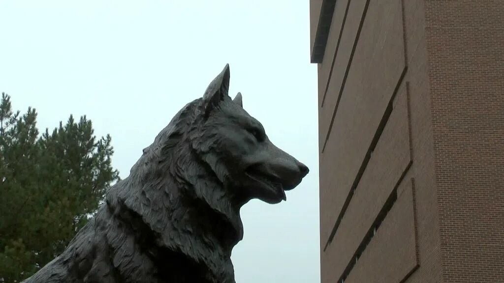 Can the Citation: MTU students can donate food to get rid of parking ...