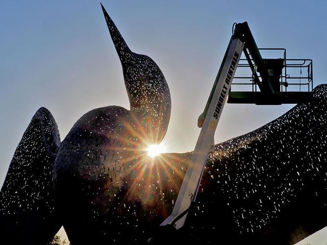 A loon alights in Midway | Multimedia | myvillager.com
