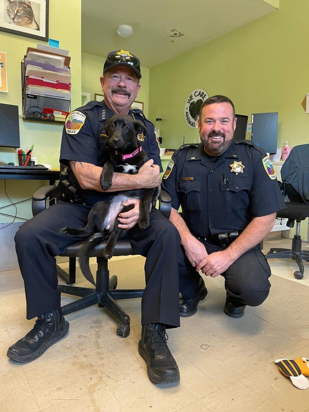 St. Helena police team up with We Care Animal Rescue