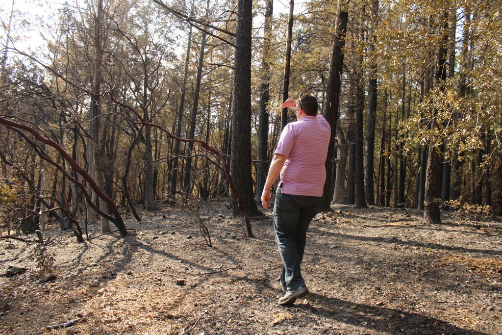 Calistoga keeps emergency declaration in place during fire recovery