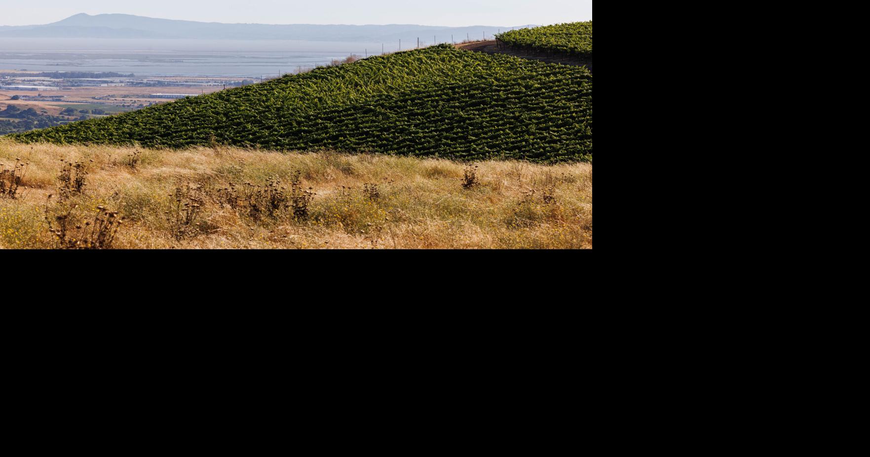 Suscol Headwaters Park 11