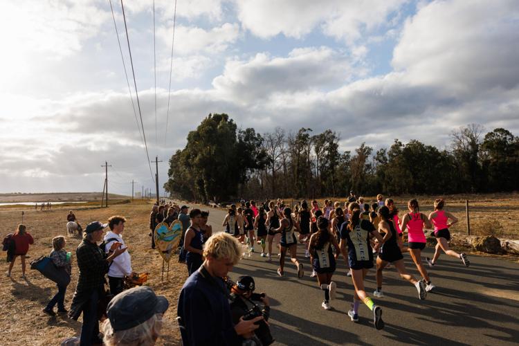 michael and luke galeotti