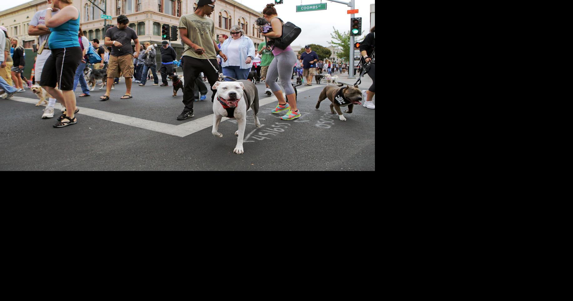 More Napa festivals moving off downtown streets to Oxbow Commons | News ...