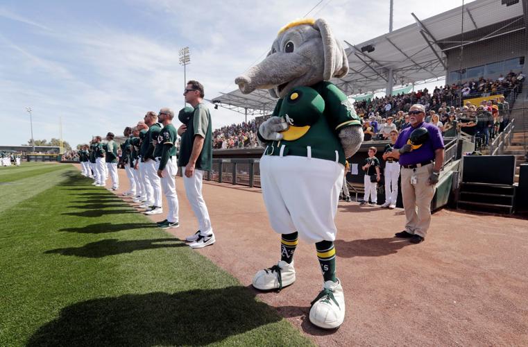 athletics mascot baseball
