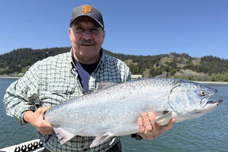 Halibut bite should improve as tides back off in bay | Sports ...