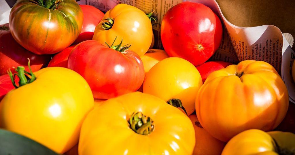 The Napa Valley’s Forni-Brown-Welsh Gardens in Calistoga is closing ...