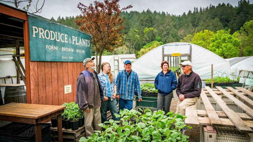 The Napa Valley’s Forni-Brown-Welsh Gardens in Calistoga is closing