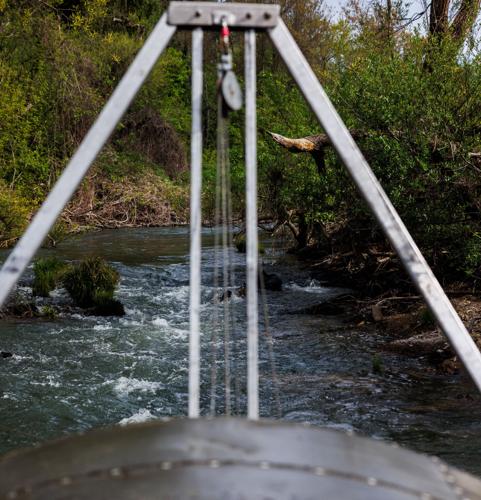 Napa River fish monitored using rotary screw trap | News ...