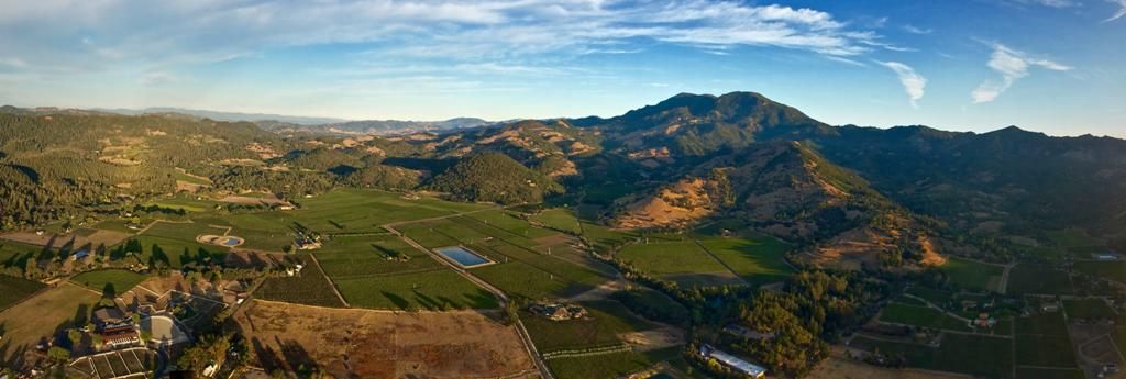 Sheer magic creates Napa’s mountain grapes | St. Helena Star ...